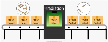 AQA GCSE Radioactive Contamination and Irradiation - Science Worksheets