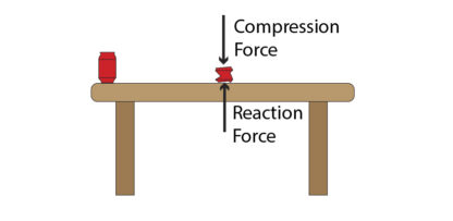 AQA GCSE Forces and Elasticity - Science Worksheets