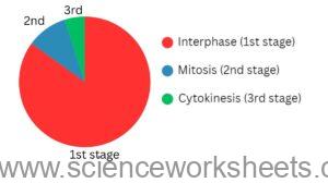 AQA GCSE Cell Cycle and Mitosis (Biology) - Science Worksheets