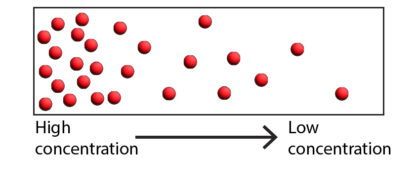 AQA GCSE Simple diffusion (Biology) - Science Worksheets