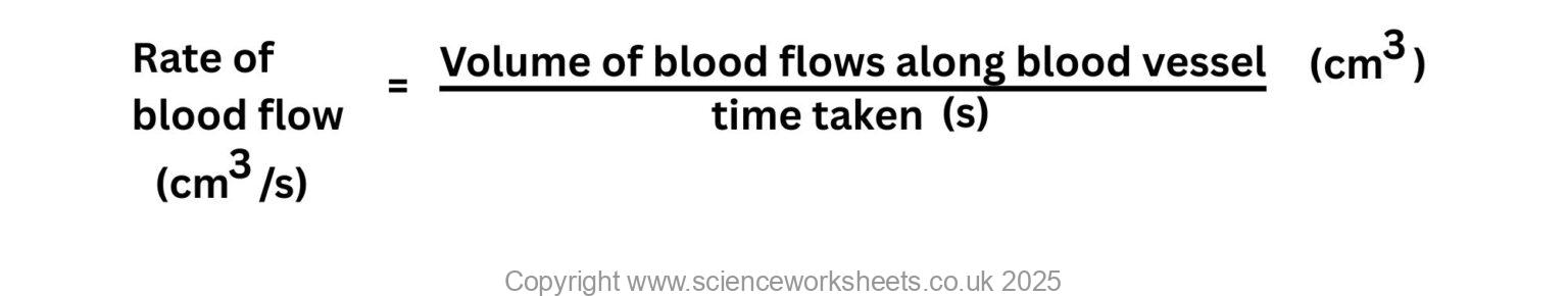 AQA GCSE Rate of blood flow (Biology) - Science Worksheets