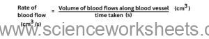AQA GCSE Rate of blood flow (Biology) - Science Worksheets