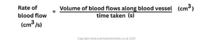 AQA GCSE Rate of blood flow (Biology) - Science Worksheets