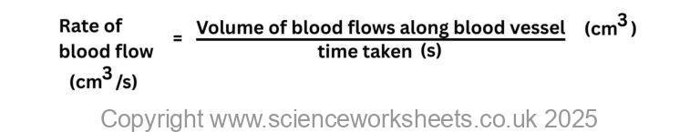 AQA GCSE Rate of blood flow (Biology) - Science Worksheets