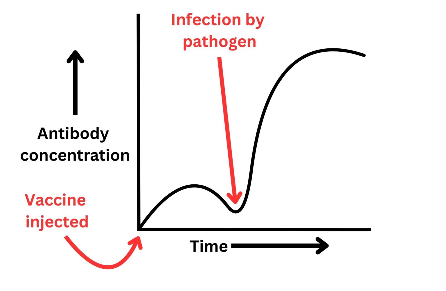 AQA GCSE Vaccination (Biology) - Science Worksheets