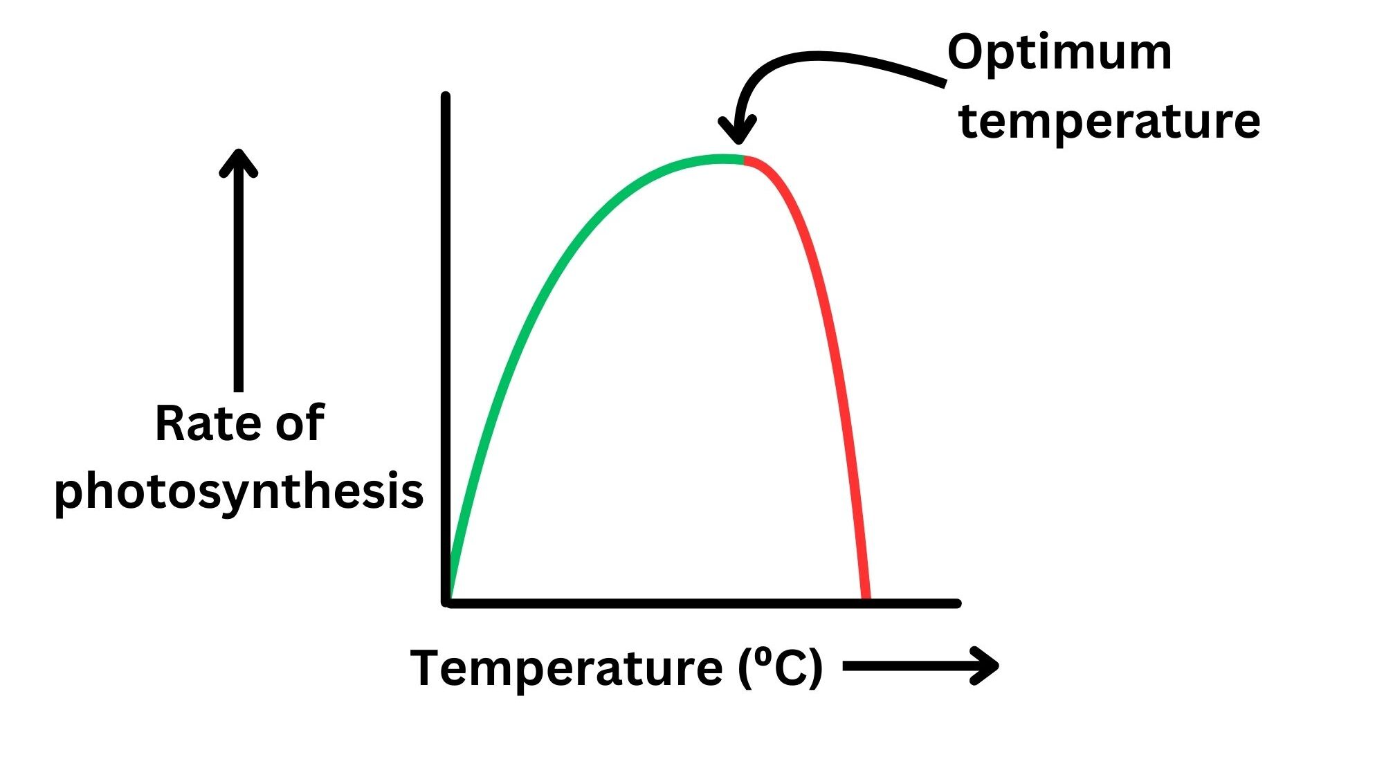 AQA GCSE Factors affecting the rate of photosynthesis (Biology ...