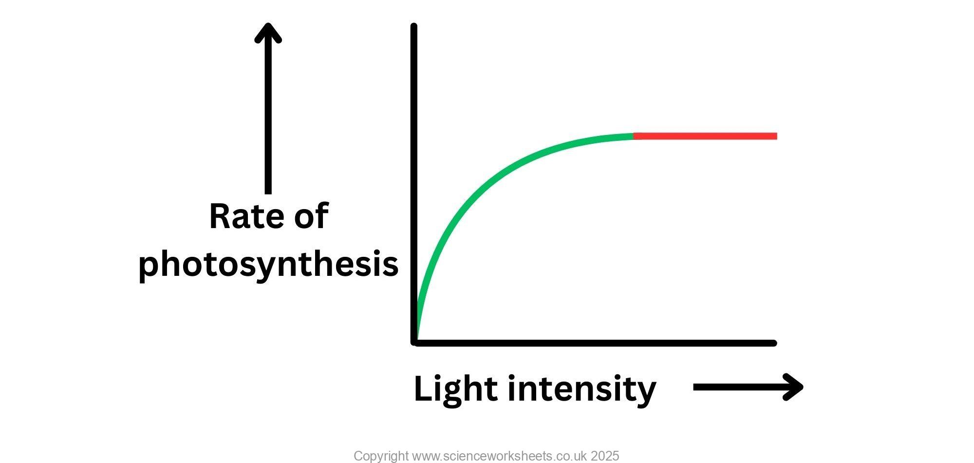 AQA GCSE Factors affecting the rate of photosynthesis (Biology ...