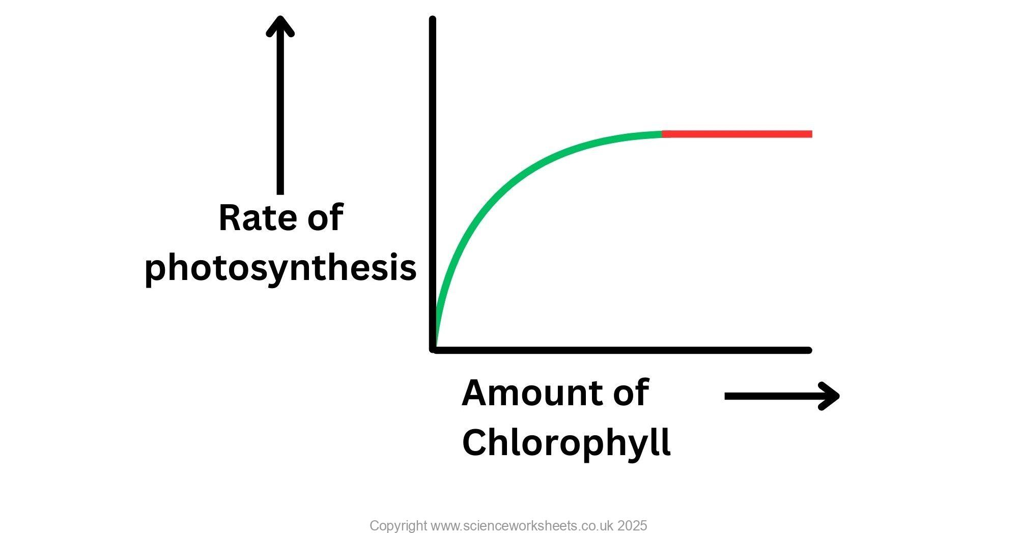AQA GCSE Factors affecting the rate of photosynthesis (Biology ...