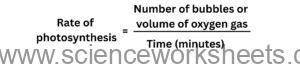 AQA GCSE Measuring & calculating rates of photosynthesis (Biology ...