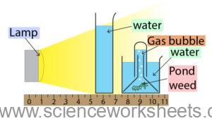 AQA GCSE Investigating the effect of light intensity on the rate of ...
