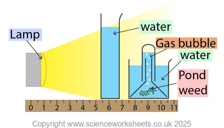AQA GCSE Investigating the effect of light intensity on the rate of ...