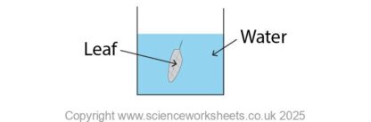 AQA GCSE Testing a leaf for starch (Biology) - Science Worksheets