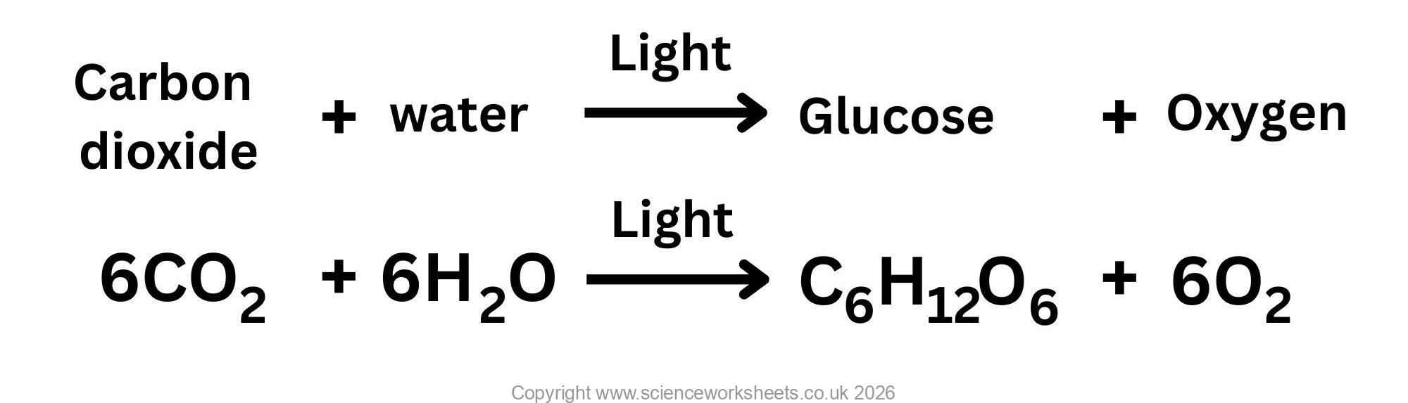 AQA GCSE Photosynthesis (Biology) - Science Worksheets
