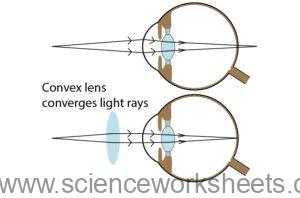 AQA GCSE The Eye (Biology) - Science Worksheets