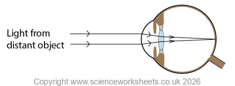 AQA GCSE The Eye (Biology) - Science Worksheets