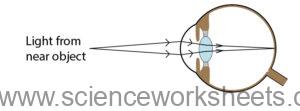 AQA GCSE The Eye (Biology) - Science Worksheets