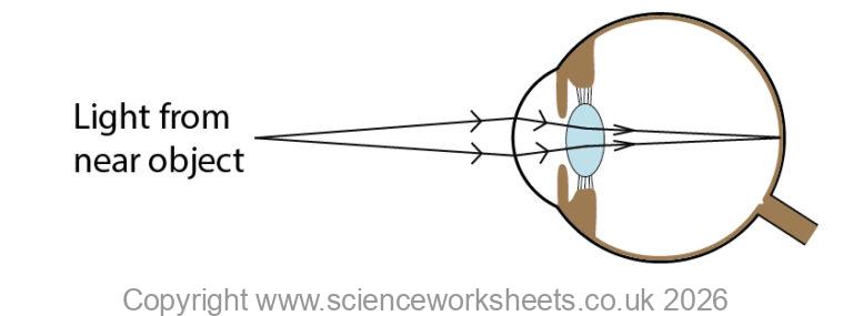 AQA GCSE The Eye (Biology) - Science Worksheets